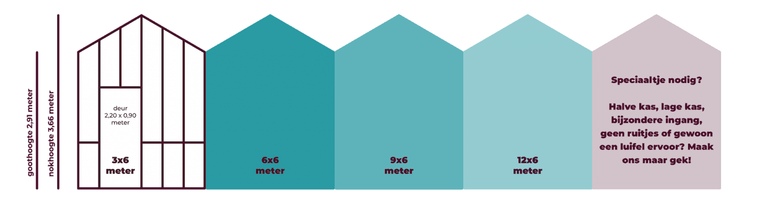 Pop-up kassen - Buitelaar Verhuurt