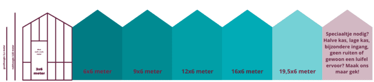 Pop-up kassen - Buitelaar Verhuurt